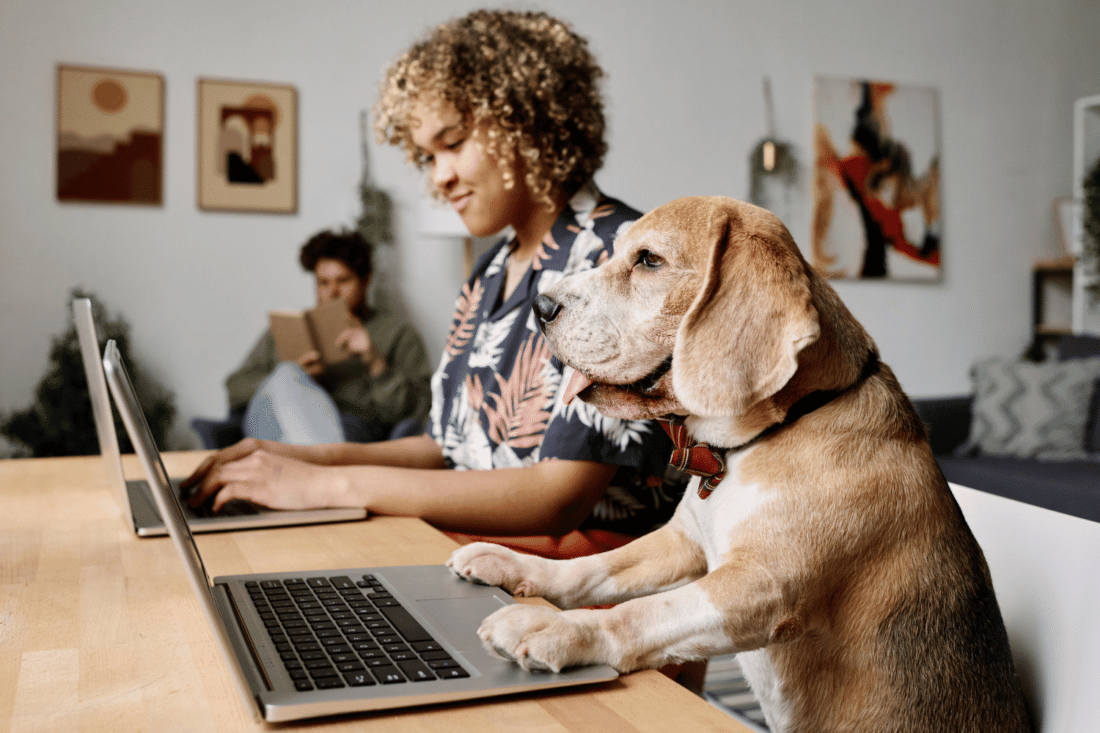 Why BON - Outcome Rating Scale